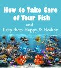 How to Take Care of Your Fish and Keep them Happy & Healthy - Aha!NOW